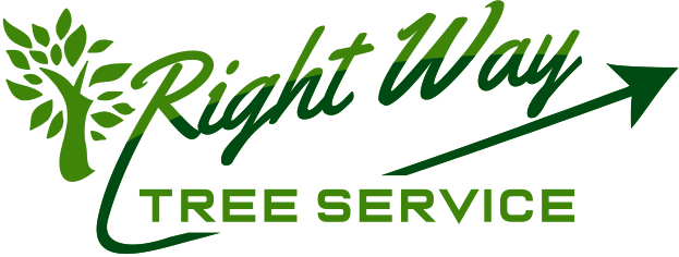 Right Way Tree Service